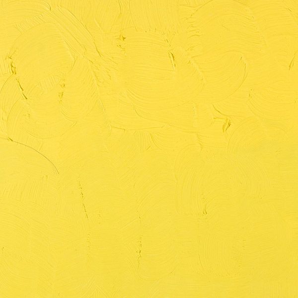Gamblin Artists Oil - Cadmium Lemon, 8oz Can | Jerry's Artarama
