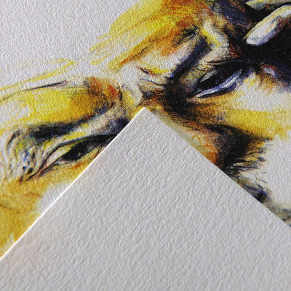Canson Artist Series Mix Media 9"x12" Paper Pad | Jerry's Artarama