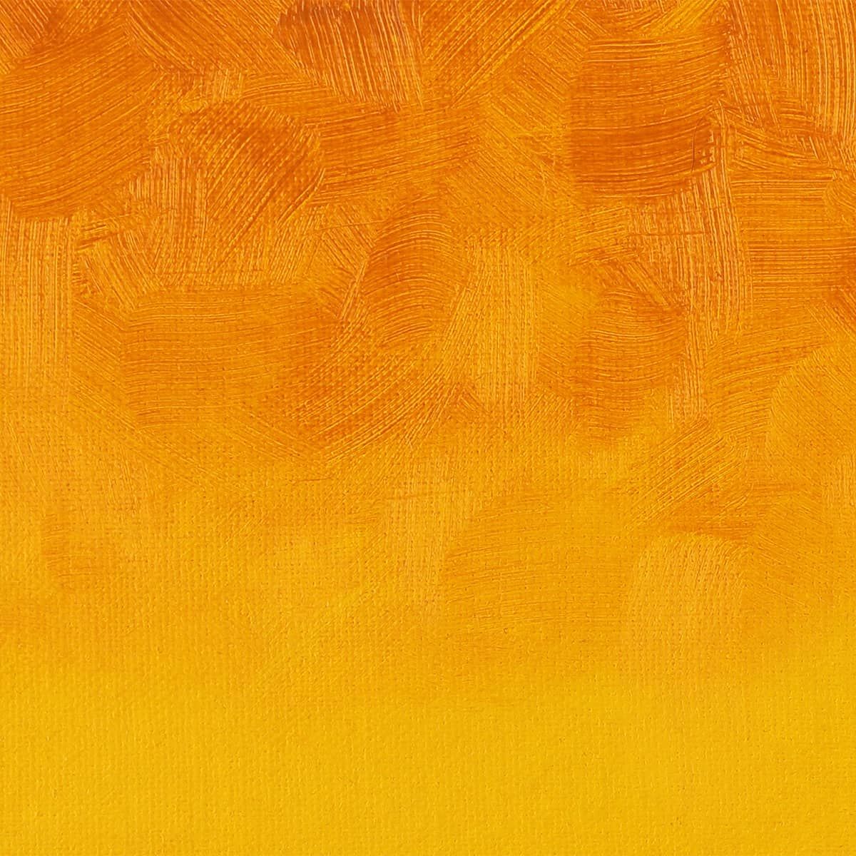 Tusc & Pine Artist Oil Color - Gamboge Pastiche, 40ml Tube | Jerry's ...