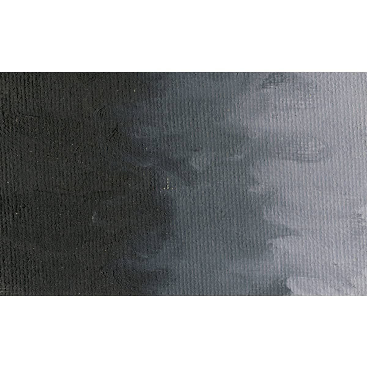 Williamsburg Handmade Oil Paint - Graphite Grey, 237ml Can | Jerry's ...