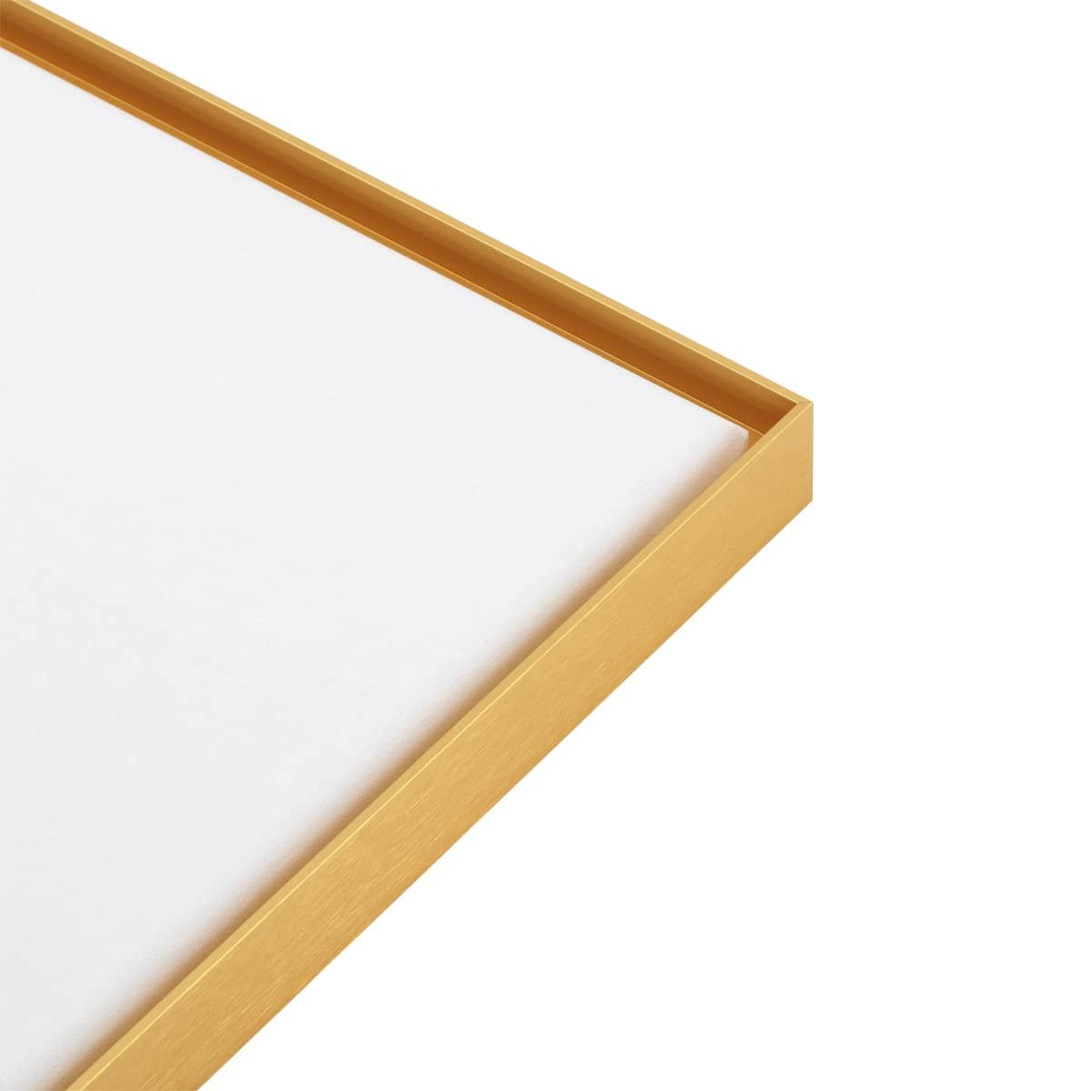 Illusions Aluminum Floater Frame, 12" x 16" Gold - 7/8" Deep | Jerry's ...
