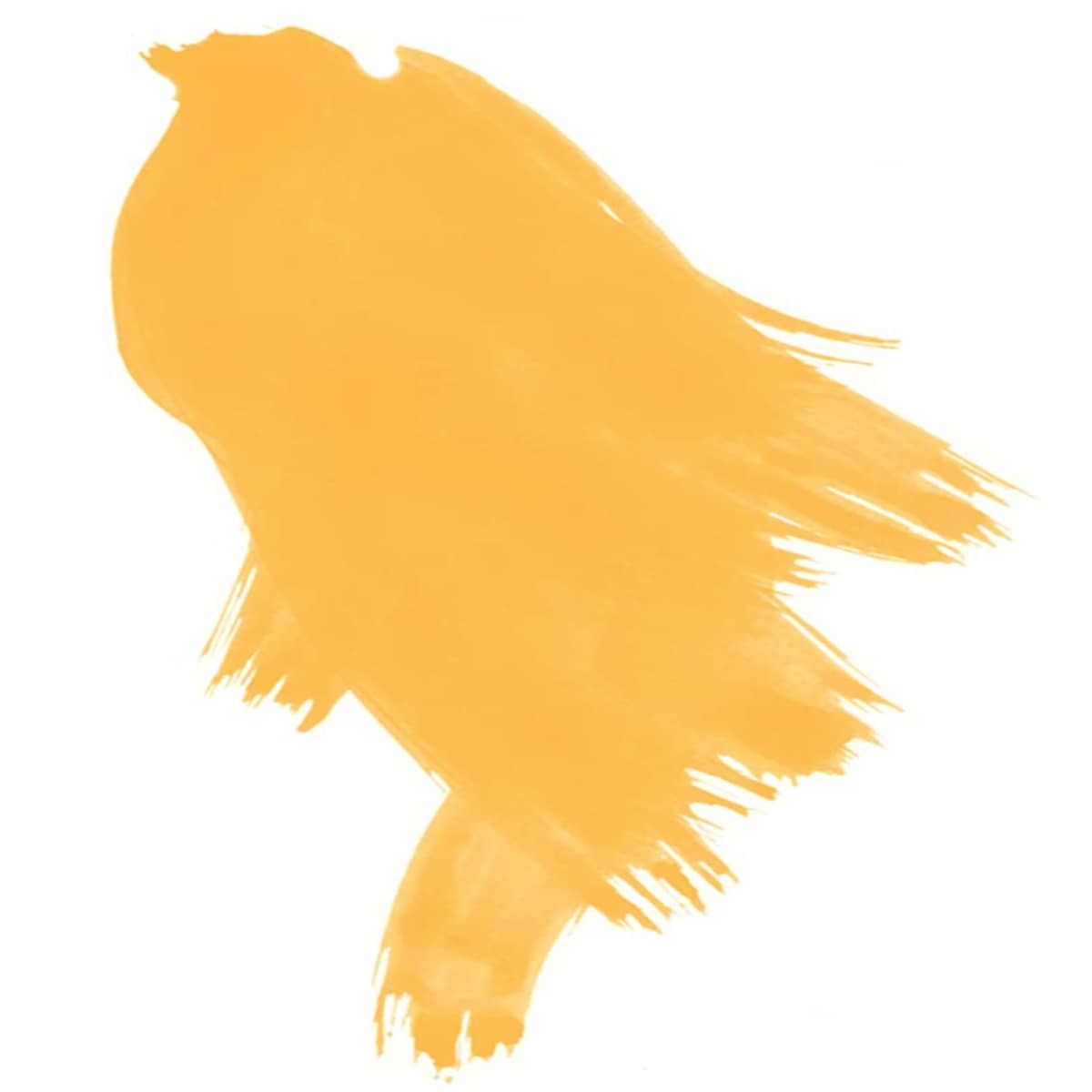 Daler-Rowney FW Acrylic Water-Resistant Artist Ink 1 oz Indian Yellow ...