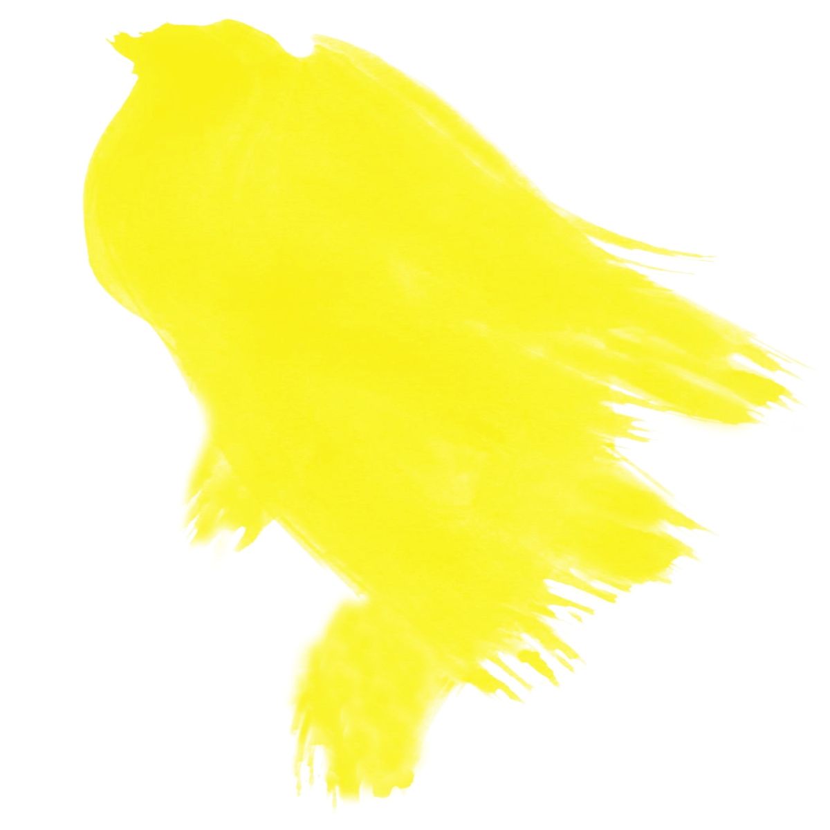 Daler-Rowney FW Acrylic Water-Resistant Artist Ink 1oz Lemon Yellow ...
