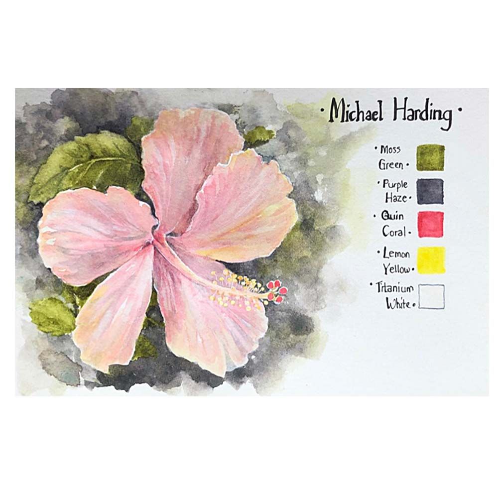 Michael Harding Watercolor Brienne Brown Introduction Set of 4, 15ml ...