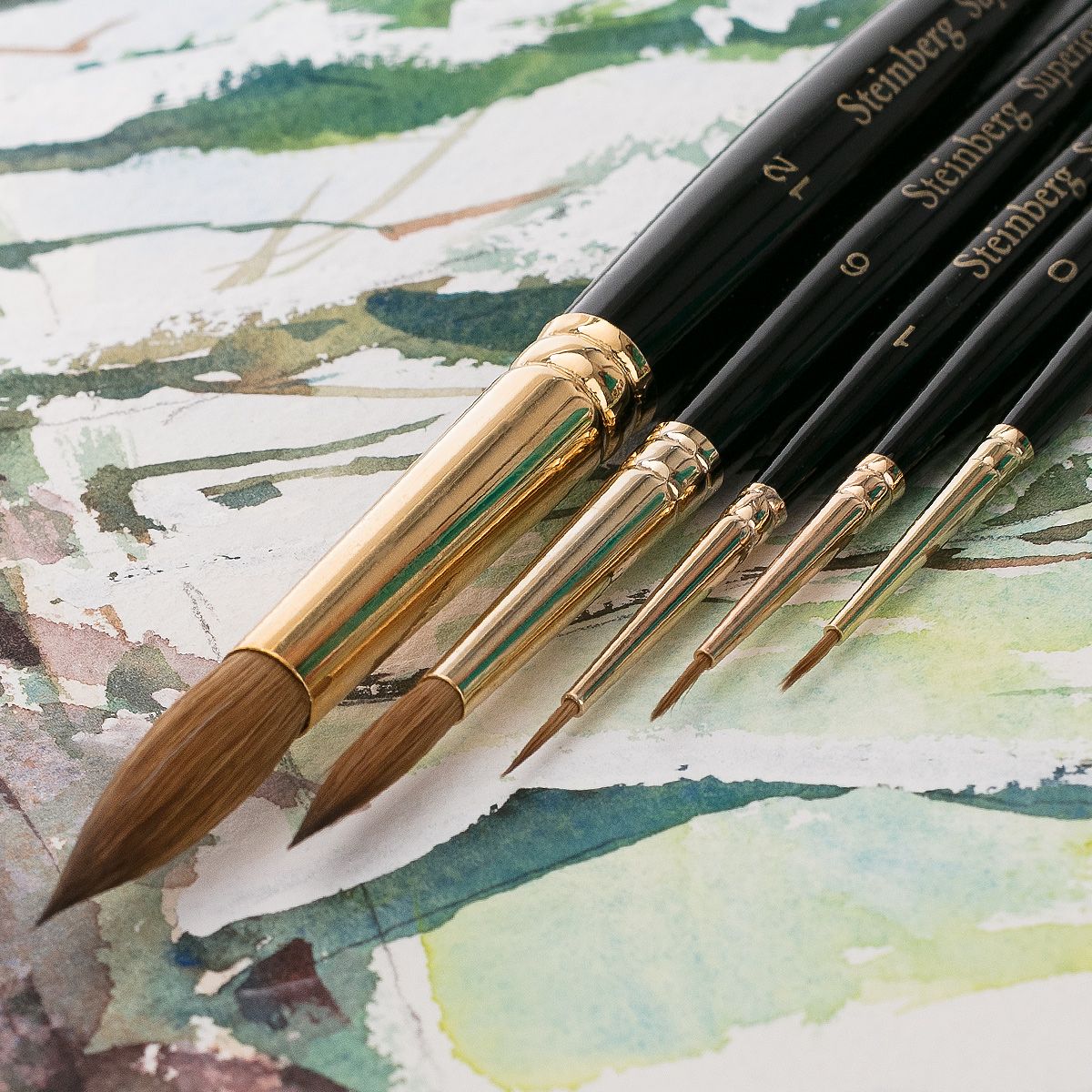 New York Central Steinberg Kolinsky Brush Set of 10 Rounds & Free Case ...