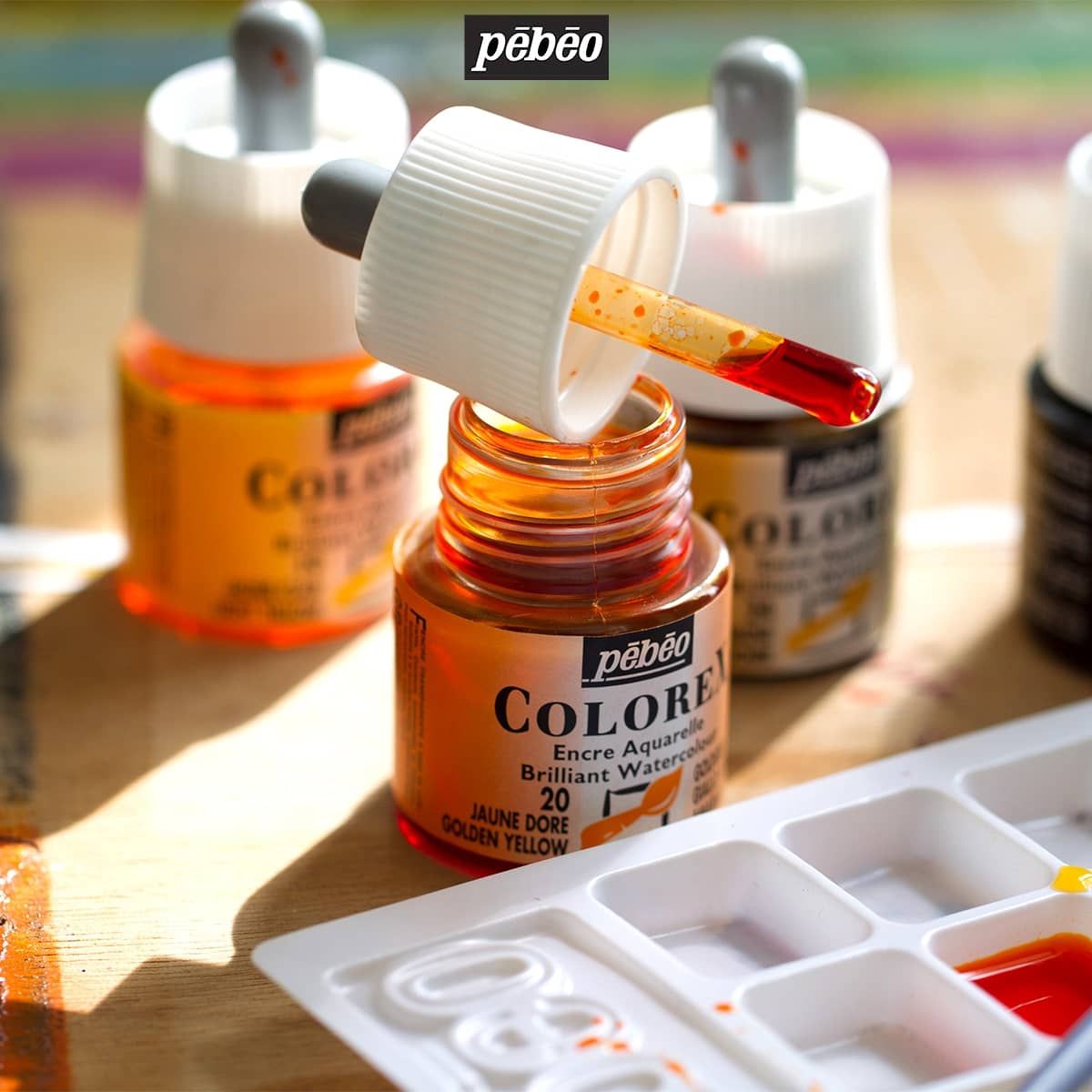 Pebeo Colorex Watercolor Ink Set of 5 Colors,45ml | Jerry's Artarama