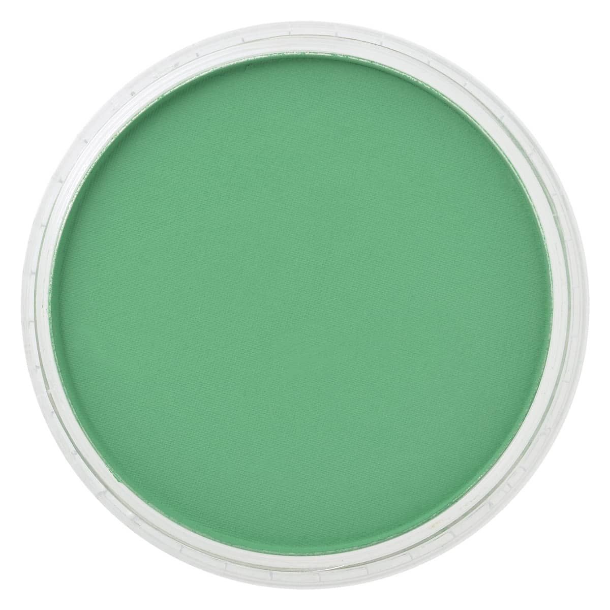 PanPastel® Artists' Pastels - Permanent Green, 9 ml | Jerry's Artarama