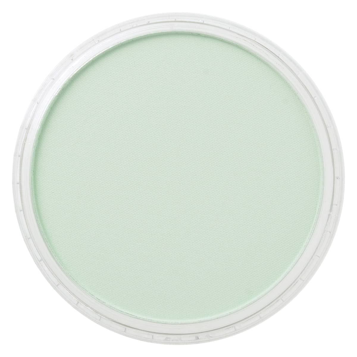 PanPastel® Artists' Pastels - Permanent Green Tint, 9 ml | Jerry's Artarama