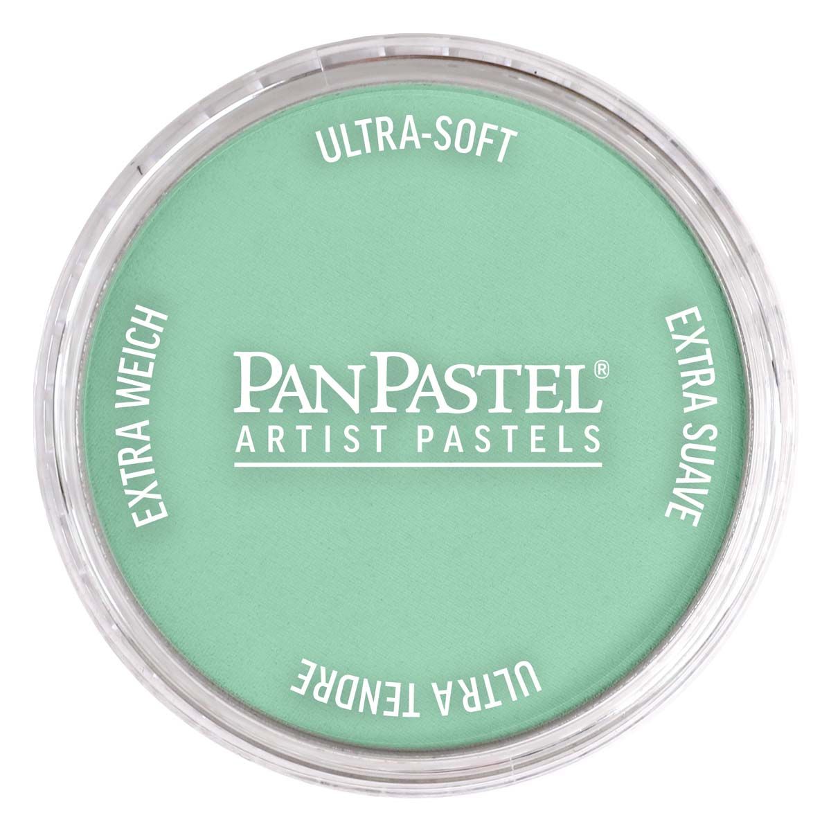 PanPastel® Artists' Pastels - Permanent Green Light, 9 ml | Jerry's ...