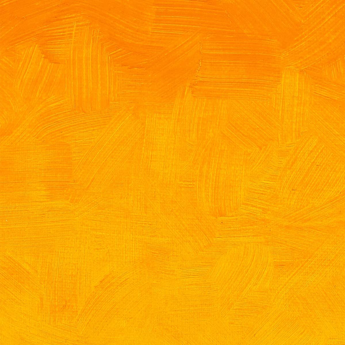 Tusc & Pine Artist Oil - Permanent Yellow Medium, 40ml Tube | Jerry's ...