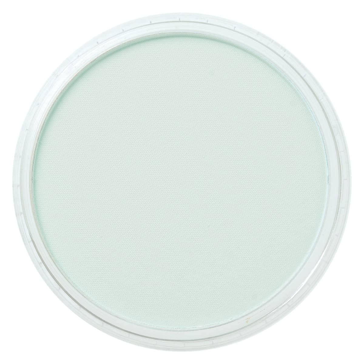 PanPastel® Artists' Pastels - Phthalo Green Tint, 9 ml | Jerry's Artarama
