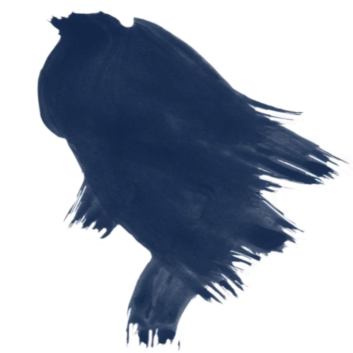 Daler-Rowney FW Acrylic Water-Resistant Artist Ink 1oz Prussian Blue ...