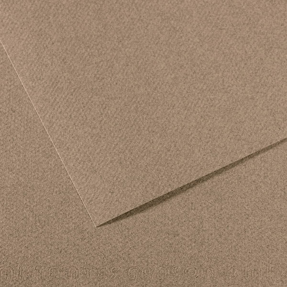 Canson Mi-Teintes Sheet - 431/Steel Gray, 19" x 25" (Pack of 10 ...