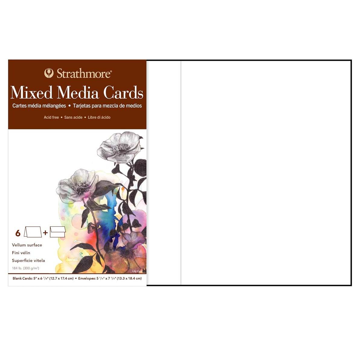 Strathmore Mixed Media Greeting Cards + Envelopes 3.5"x4.875" (Pack of ...