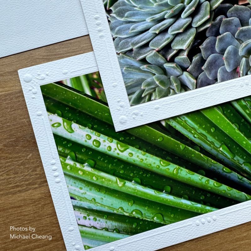 Strathmore Photo Mount Cards in White, Decorative Emboss 100Pack 5"x6 ...