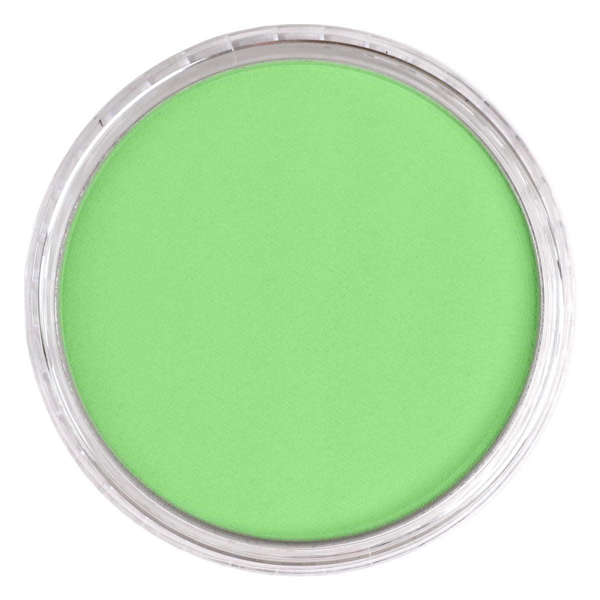 PanPastel® Artists' Pastels - Yellow Green Light, 9 ml | Jerry's Artarama