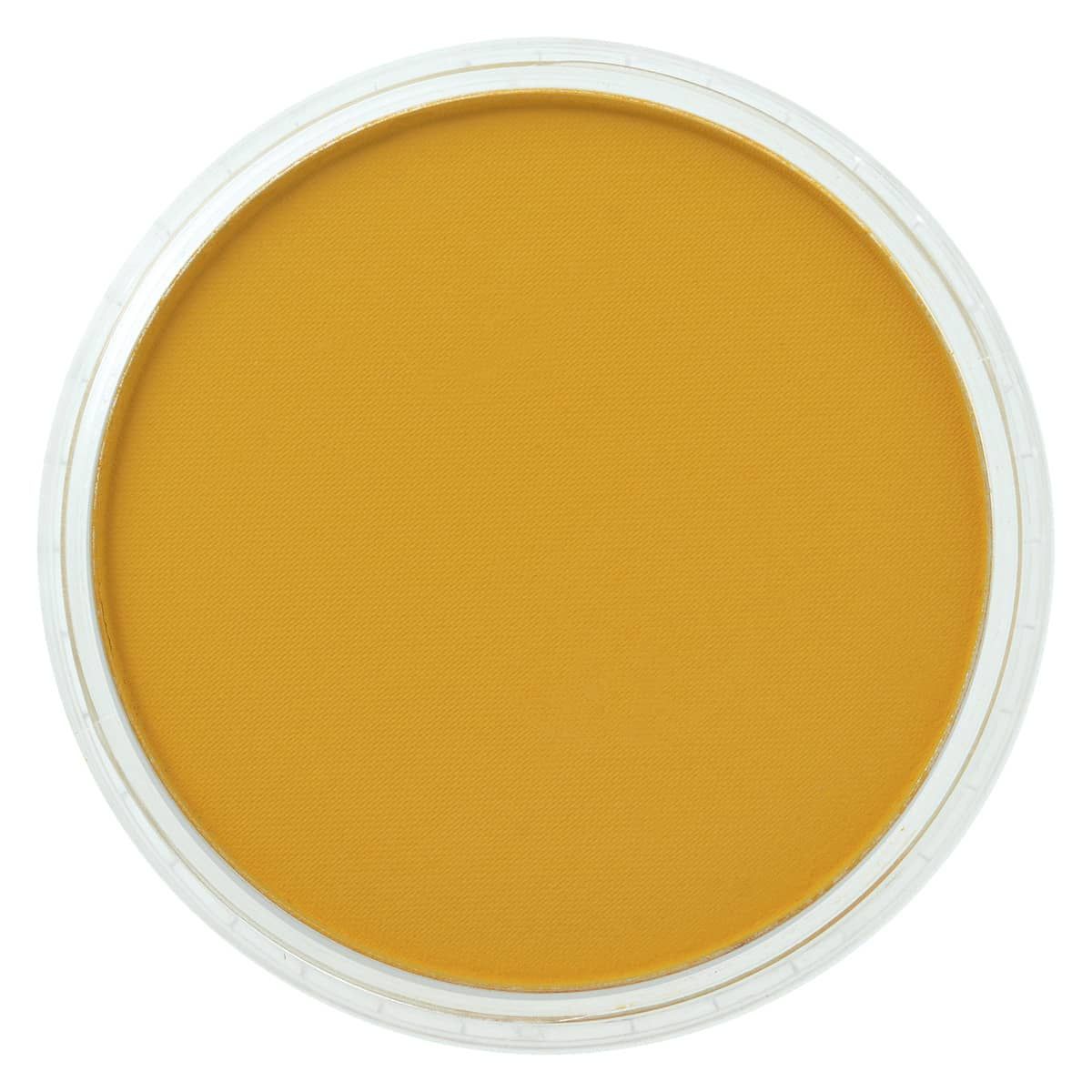 PanPastel™ Artists' Pastels - Yellow Oxide, 9 ml | Jerry's Artarama